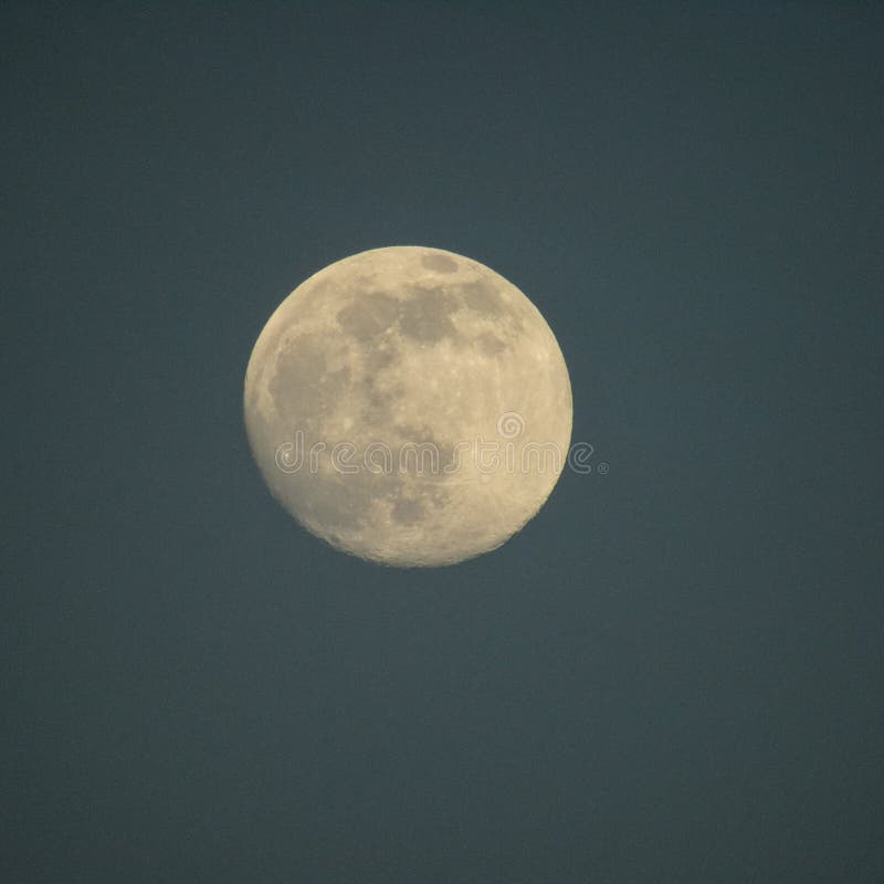 Photo of the moon close up stock photo. Image of flowers - 211599482