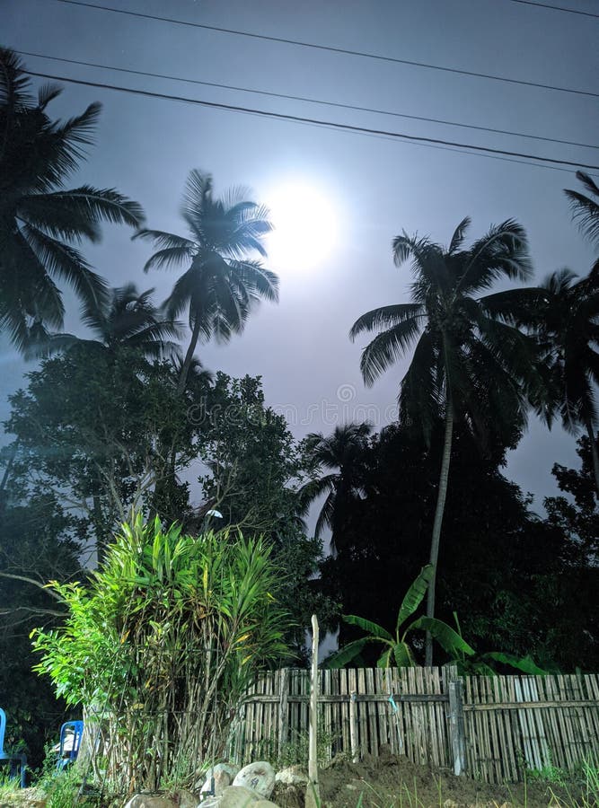 Photo of the Moon at Midnight Stock Image - Image of green, moon: 266172103