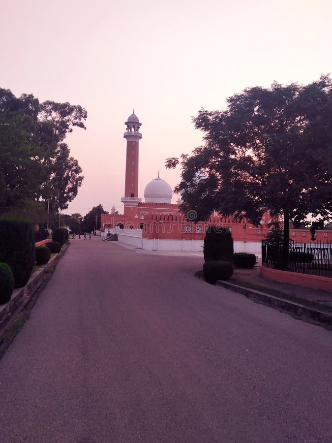 Photo of Mosque Road Trees Evening Stock Image - Image of pink, tree ...