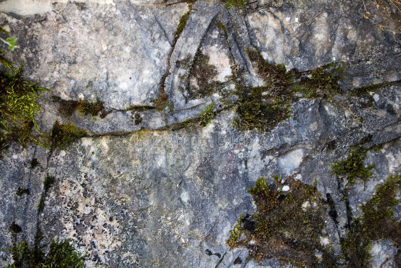 Photo of Moss on a Stone Wall Stock Image - Image of wall, stone: 57235691