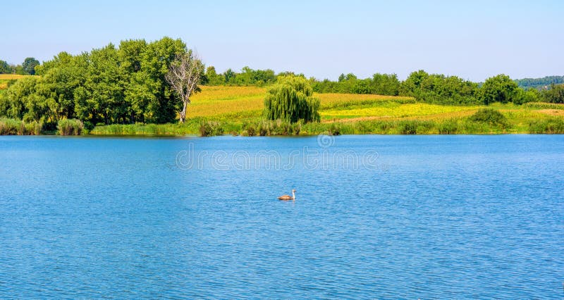 Photo of Nature Around Beautiful Blue Lake Stock Image - Image of ...