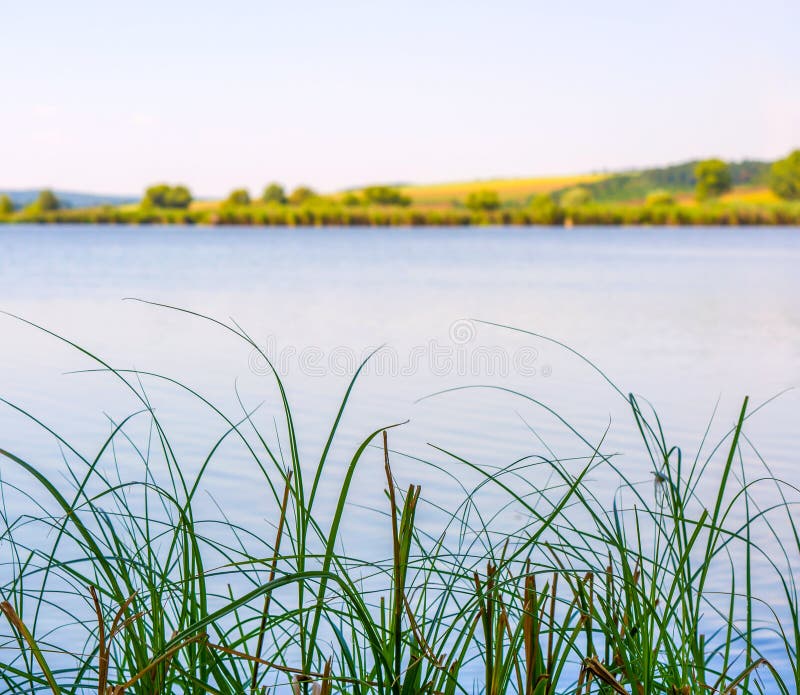 Photo of Nature Around Beautiful Blue Lake Stock Photo - Image of ...