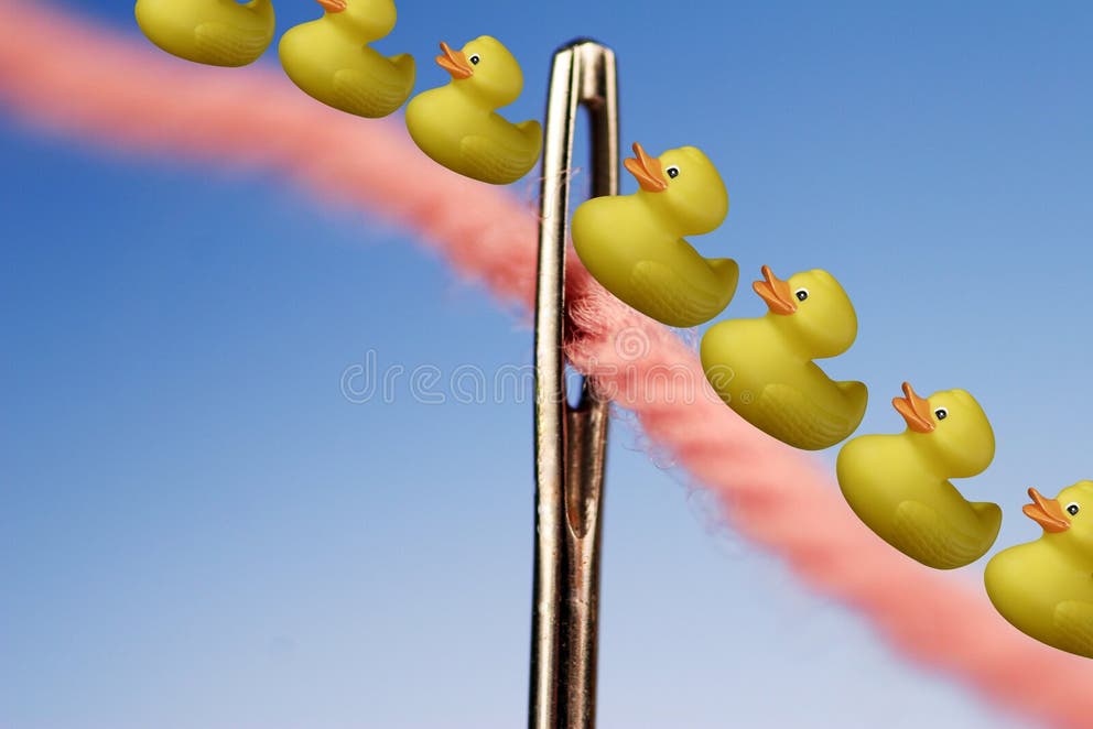Photo of Needle and Thread and Row of Ducks Following Each Other Stock ...