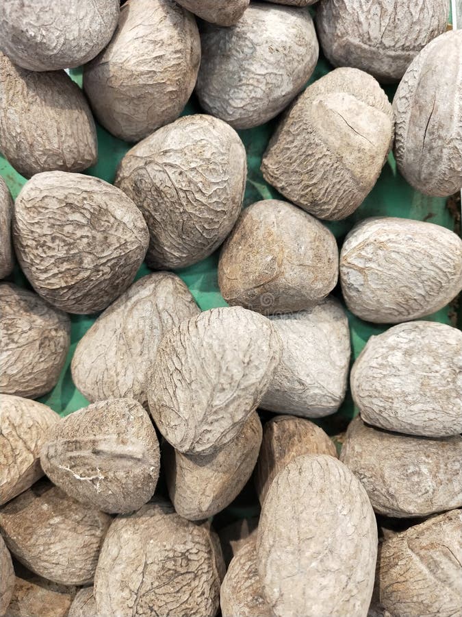 Photo of Pangium Edule (kluwek) Stock Photo - Image of isolated ...