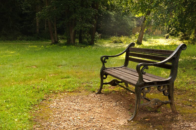 Photo Park Bench Spring Summer Season Morning Stock Photo - Image of ...