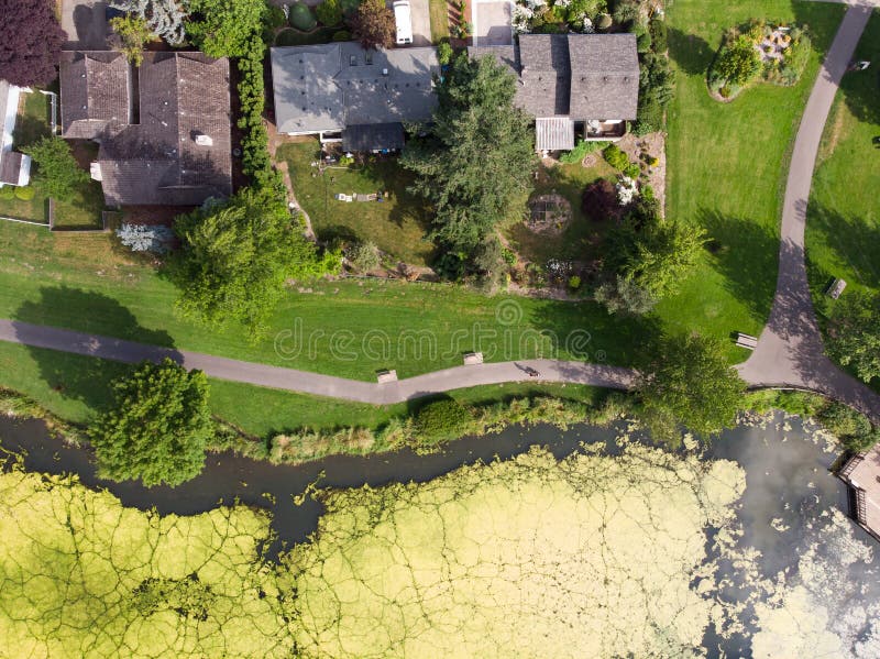 Photo of Park with Lake and Landscape Top View, Texture for Design ...