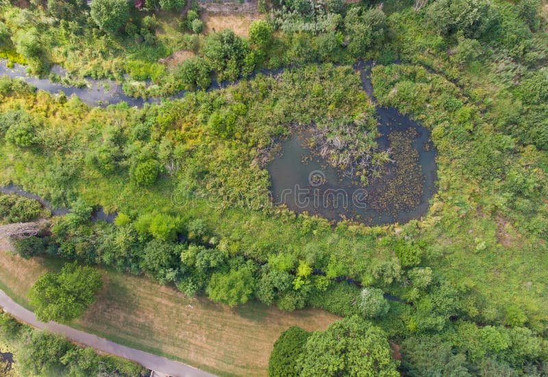 Photo of Park with Lake and Landscape Top View, Texture for Design ...