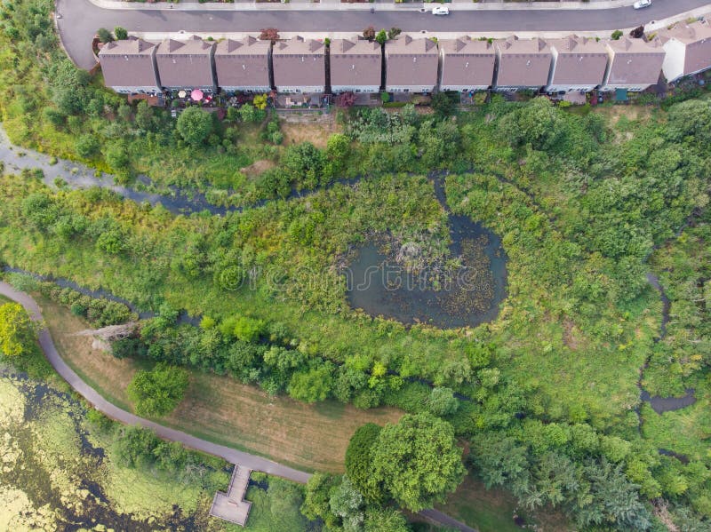 Photo of Park with Lake and Landscape Top View, Texture for Design ...