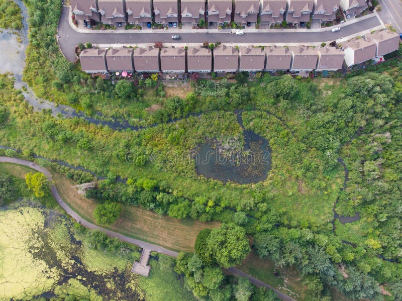 Photo of Park with Lake and Landscape Top View, Texture for Design ...