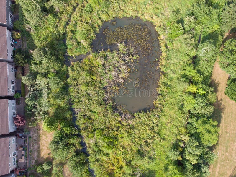 Photo of Park with Lake and Landscape Top View, Texture for Design ...