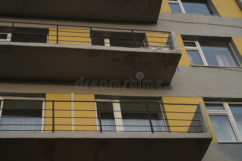 Linear Patterns and Textures on Base of Palm Leaf Stock Photo - Image ...