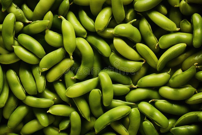 Runner Beans Pattern Stock Illustrations – 11 Runner Beans Pattern ...