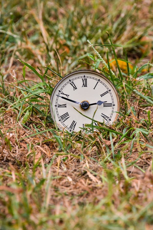 Classic Clock Time Concept stock photo. Image of grass - 237220178