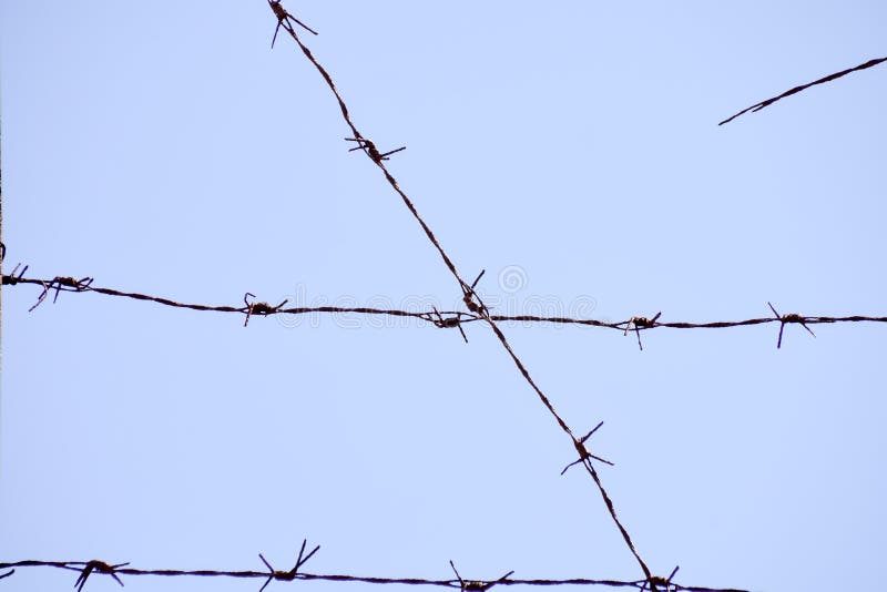 Dangerous Barbed Wire stock image. Image of guard, background - 123715955