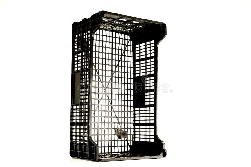 Empty Fruit Crate Box stock photo. Image of fresh, bunch - 111068114