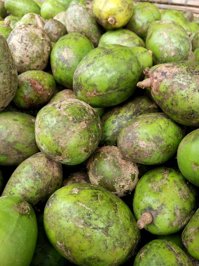 Kedondong stock image. Image of yummy, taste, fruit - 107659675 Kedondong stock image. Image of yummy, taste, fruit - 107659675