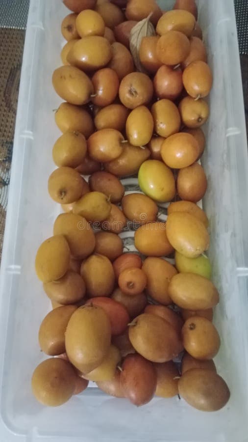 A Photo of Plum and Plum Box To Keep in Refrigerator Stock Image ...