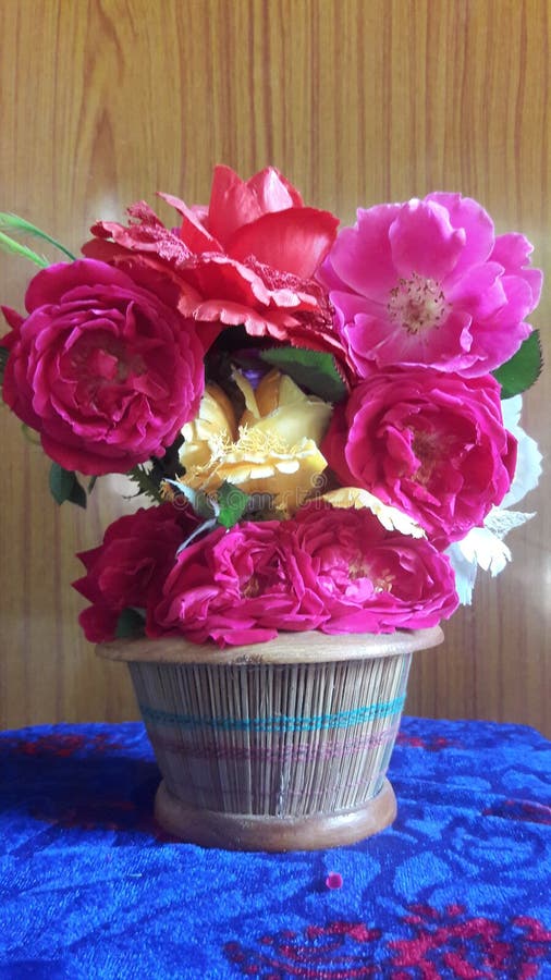 A Photo is Flavar Agriclchar Farm India. Stock Image - Image of ...