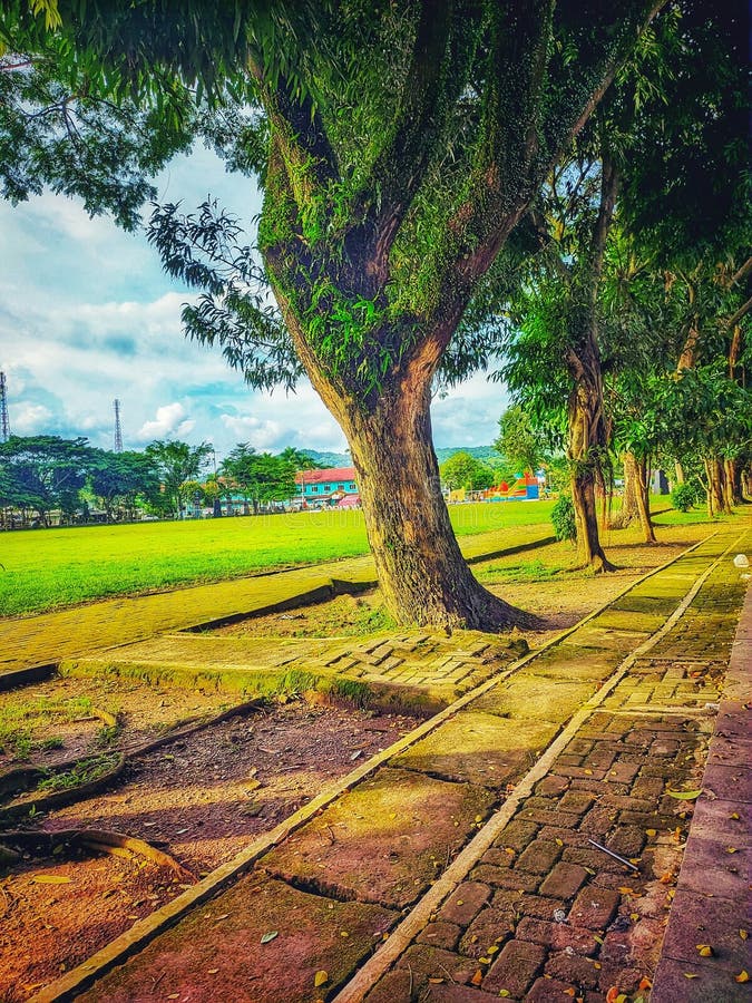 Photo of a Promenade and Shady Trees Around the Square. Stock Image ...