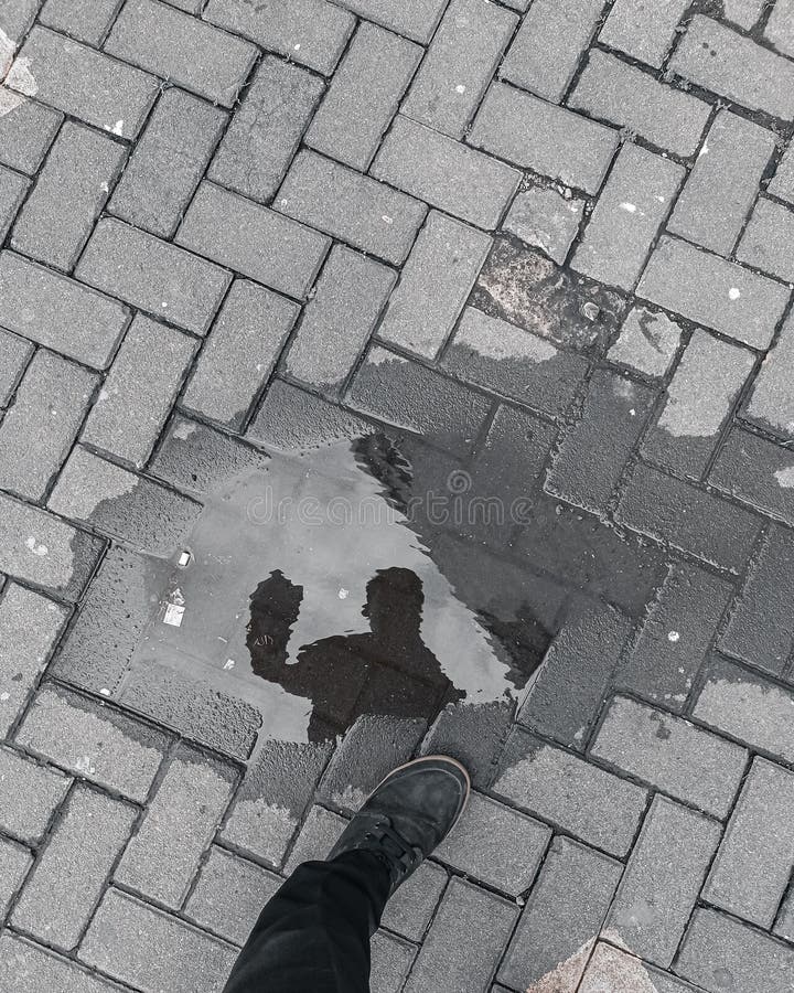 Puddle reflection stock photo. Image of lifestyle, kiss - 16328654