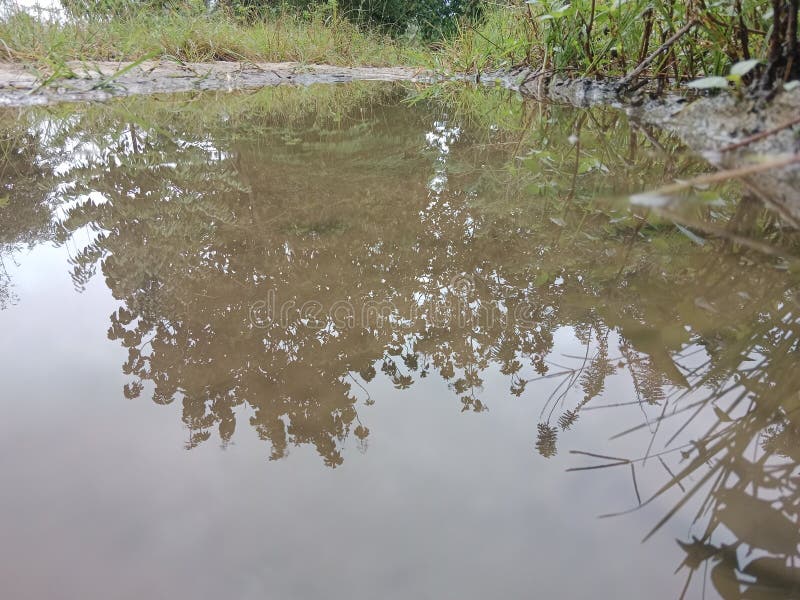 This is a Photo of a Puddle on the Street Stock Photo - Image of pond ...