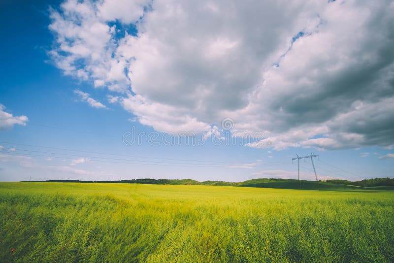 Pylon on the field stock photo. Image of seed, nature - 132681922