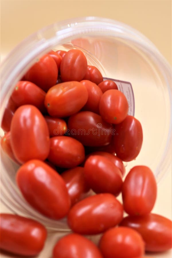 Cherry Plum Tomatoes in Plastic. Stock Image - Image of vegetable, pack ...