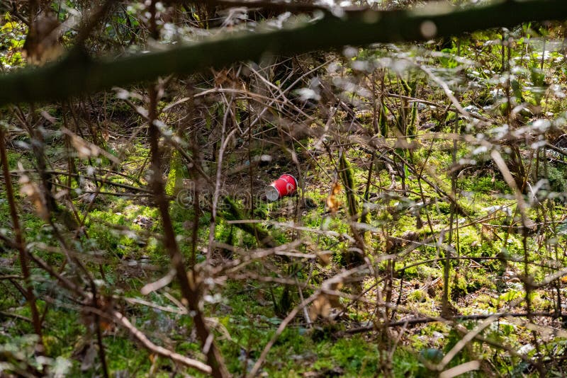 Garbage in Forest with Green Foliage and Tree Trunks. Environment ...