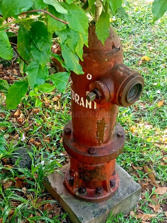 A Photo of a Red Fire Hydrant Stock Photo - Image of utility, access ...