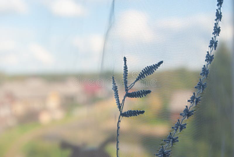 Photo of a Red Tulle on a Window with a Thread Pattern Stock Photo ...
