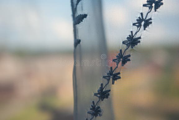 Photo of a Red Tulle on a Window with a Thread Pattern Stock Image ...