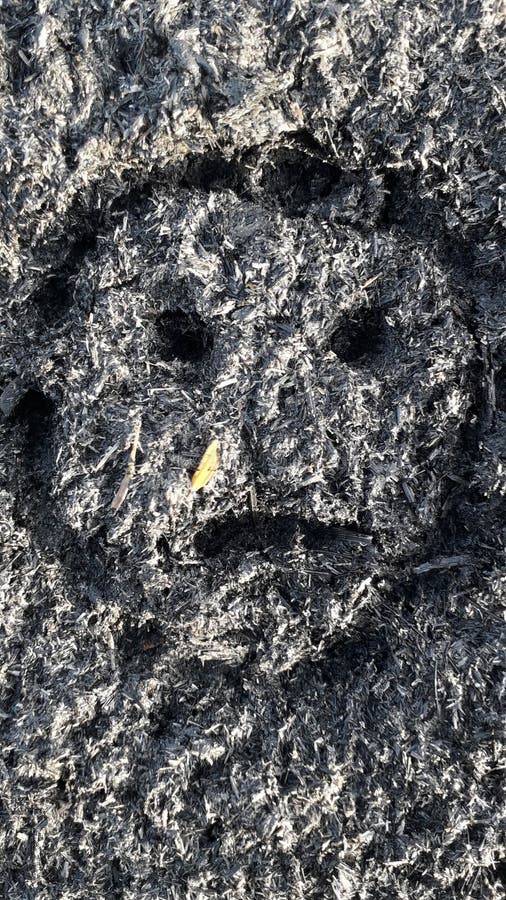 This is a Photo of the Remaining Charcoal from Burning Rice Trees Drawn ...