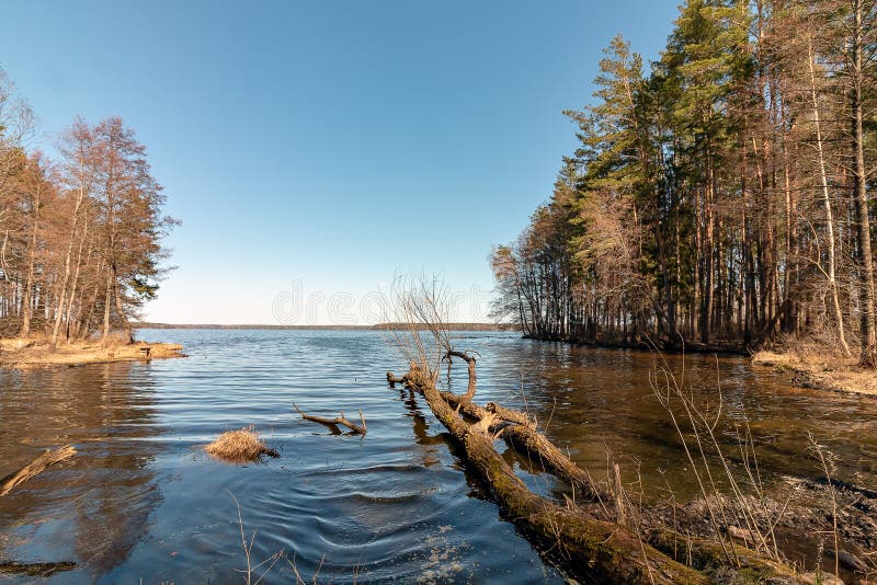 Photo of a Reservoir Located Near the Forest Stock Photo - Image of ...