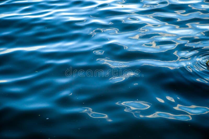 Photo of Ripple on Sea Surface Stock Image - Image of color, marine ...