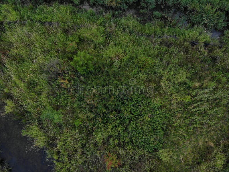 Photo of the River and the Landscape Top View, Texture for Design Stock ...