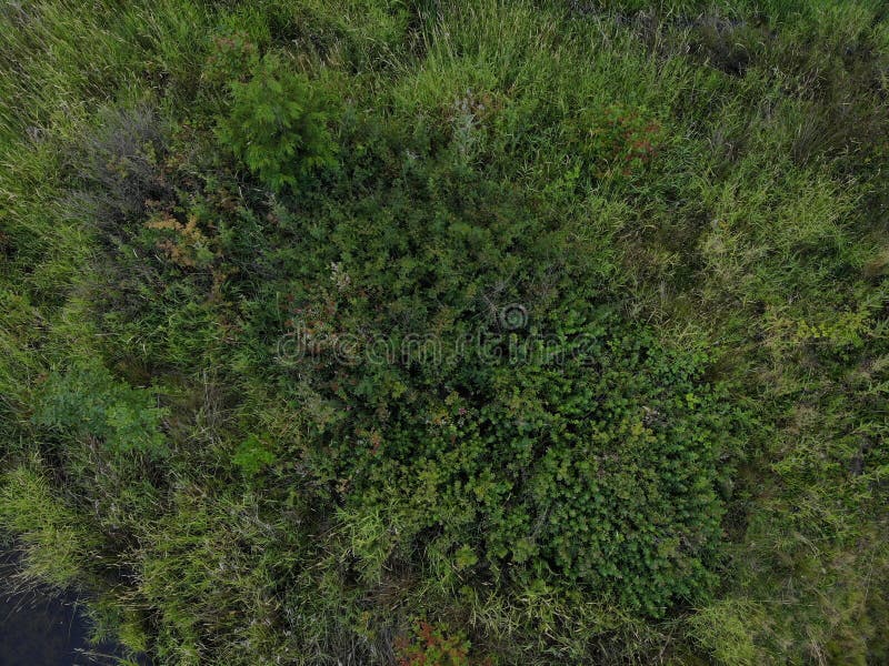 Photo of the River and the Landscape Top View, Texture for Design Stock ...