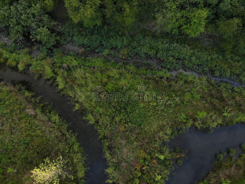 Photo of the River and the Landscape Top View, Texture for Design Stock ...