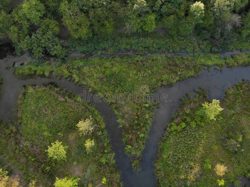 Photo of the River and the Landscape Top View, Texture for Design Stock ...