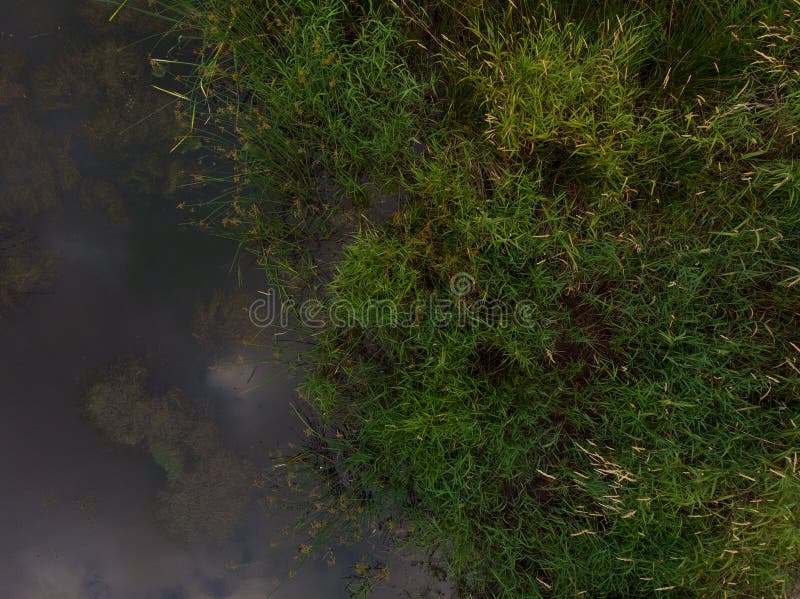 Photo of the River and the Landscape Top View, Texture for Design Stock ...