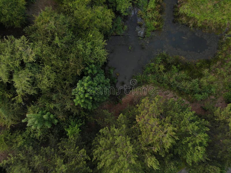 Photo of the River and the Landscape Top View, Texture for Design Stock ...
