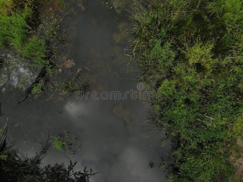 Photo of the River and the Landscape Top View, Texture for Design Stock ...