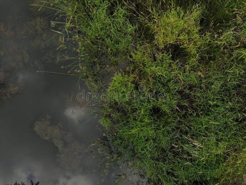 Photo of the River and the Landscape Top View, Texture for Design Stock ...