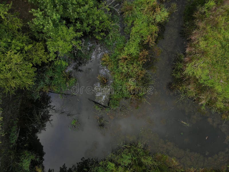 Photo of the River and the Landscape Top View, Texture for Design Stock ...