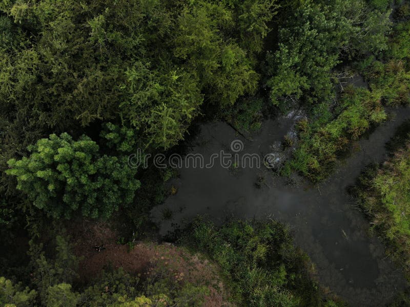 Photo of the River and the Landscape Top View, Texture for Design Stock ...