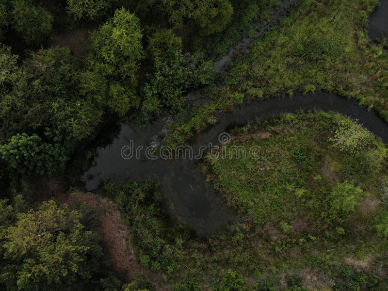 Photo of the River and the Landscape Top View, Texture for Design Stock ...