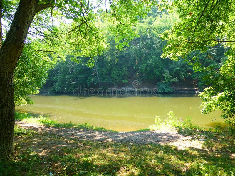 River Surrounded by Beautiful Trees and Greenery Stock Image - Image of ...