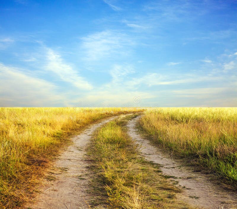 Photo of the Road into a Field Stock Image - Image of nature, rural ...
