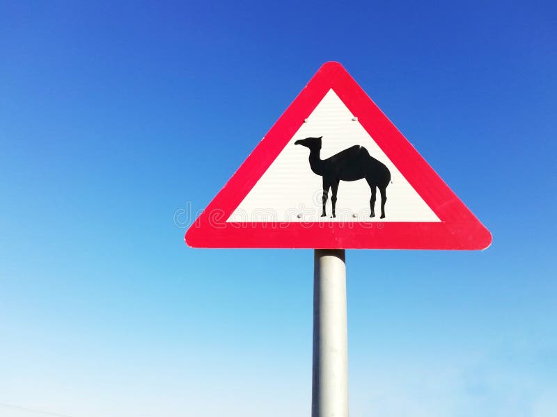 Photo of a Road Sign in the Wadi Rum Desert Stock Image - Image of ...
