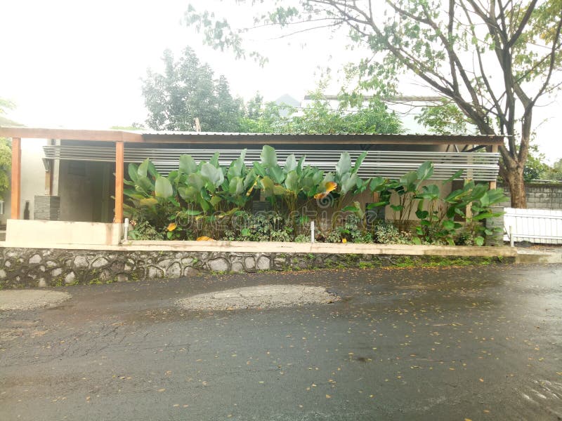 Roadside Garden with Broadleaf Greenery Stock Image - Image of blue ...