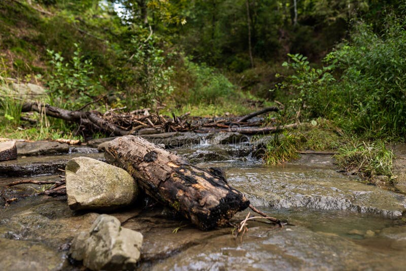Rocks and Log in the Brook Deep in the Forest Stock Image - Image of ...